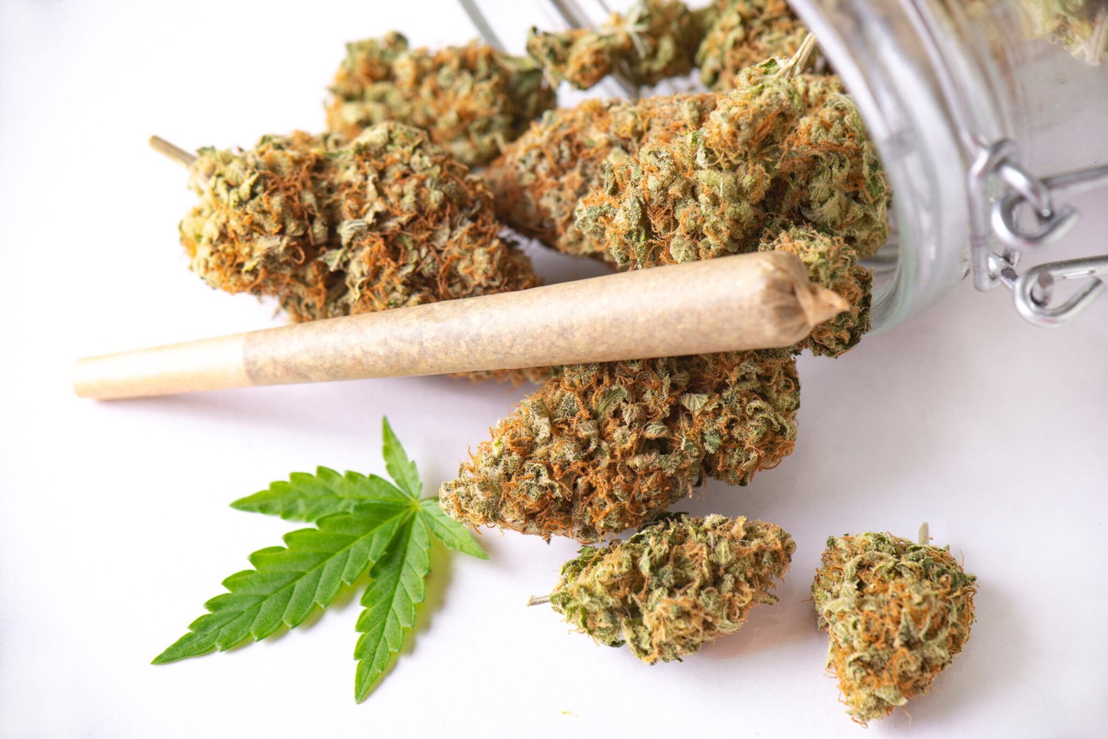 The Full Pre-Roll Sizes Guide for 2025